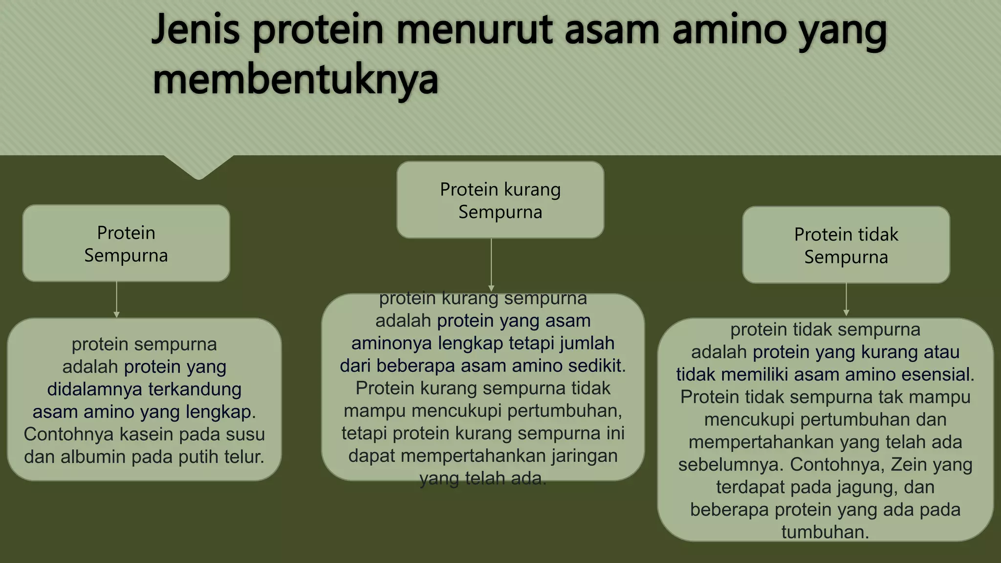 ppt selvi protein.pptx