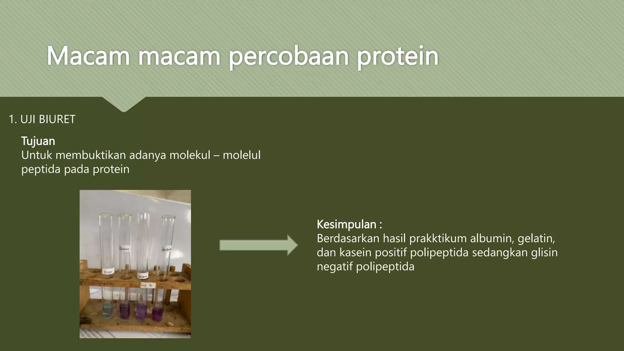 ppt selvi protein.pptx