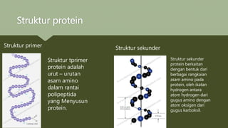 ppt selvi protein.pptx