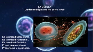 BASES MOLECULARES DE todas las CELULAS.pptx