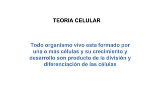 BASES MOLECULARES DE todas las CELULAS.pptx