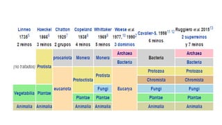 BASES MOLECULARES DE todas las CELULAS.pptx