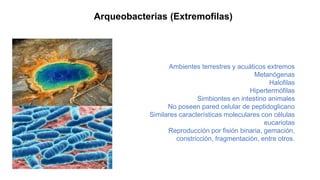 BASES MOLECULARES DE todas las CELULAS.pptx