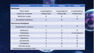 BASES MOLECULARES DE todas las CELULAS.pptx