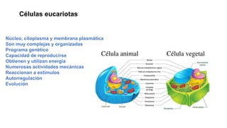 BASES MOLECULARES DE todas las CELULAS.pptx