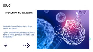 BASES MOLECULARES DE todas las CELULAS.pptx