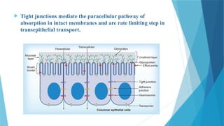 Barriers Of Protein And Peptide Drug Delivery | PPTX