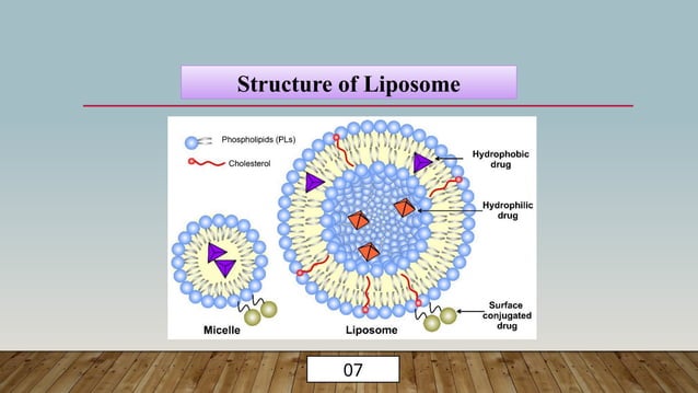 Powerpoint Presentation on Topic Liposomes | PPTX