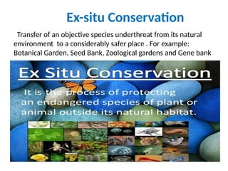 Ex situ conservation : botanical garden, seed bank, gene bank | PPTX