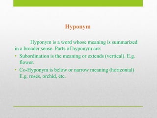 The dimension of meaning | PPTX