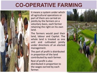 Role of Farming System and Farm Business Organisations to provoke ...