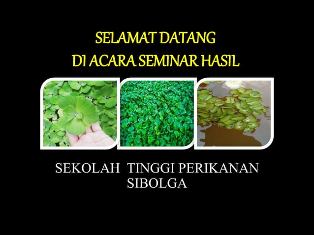 PPT SEMINAR HASIL PANNY BDP.pptx