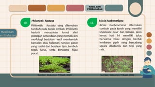 PPT SEMNAS- Nor Jamilah (Inventarisasi Jenis-Jenis Lumut Di Desa ...