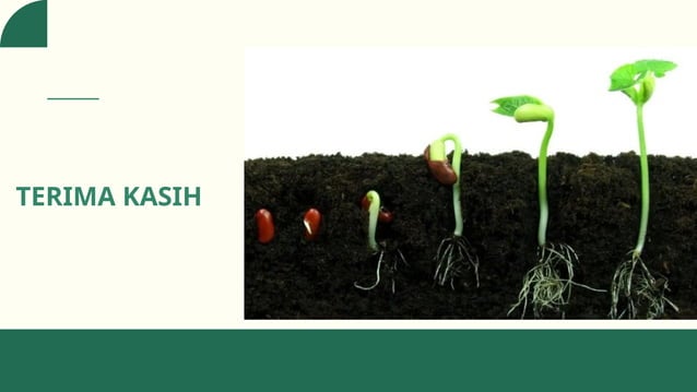 PPT SEMINAR NASIONAL SAINS TEK 2024.pptx