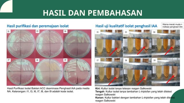 PPT SEMINAR NASIONAL SAINS TEK 2024.pptx
