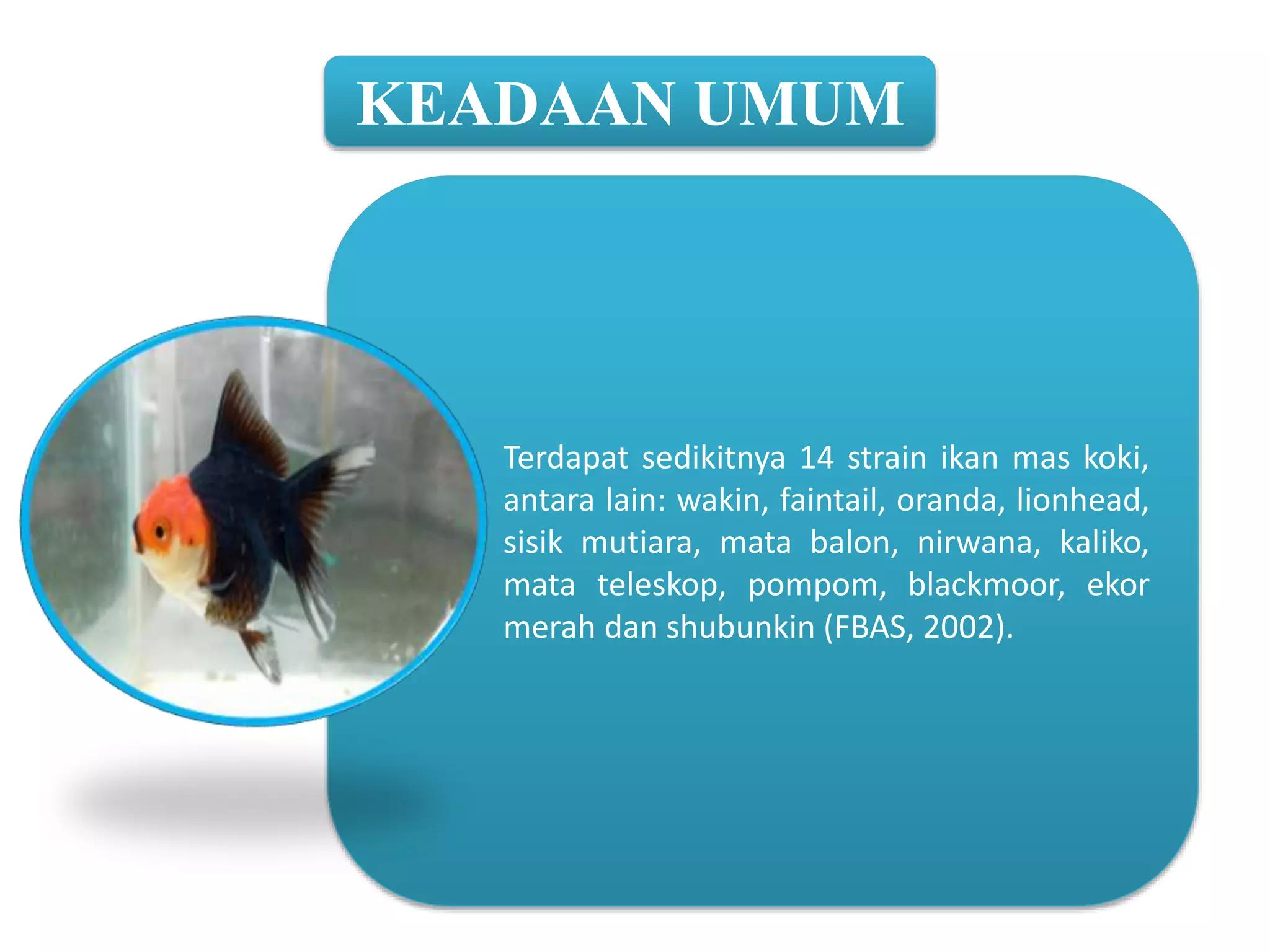 PPT SEMPROL.pptx
