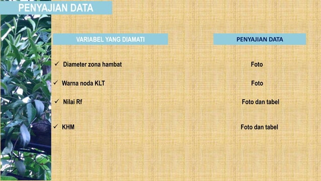 PPT Sempro M. RIDHA MAULUDI.pptx