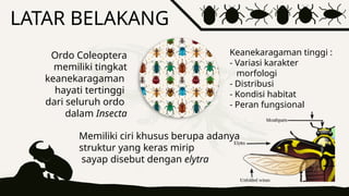 PPT SEMPROP - Bhimantoro Aryudha - M0417014aaa.pptx
