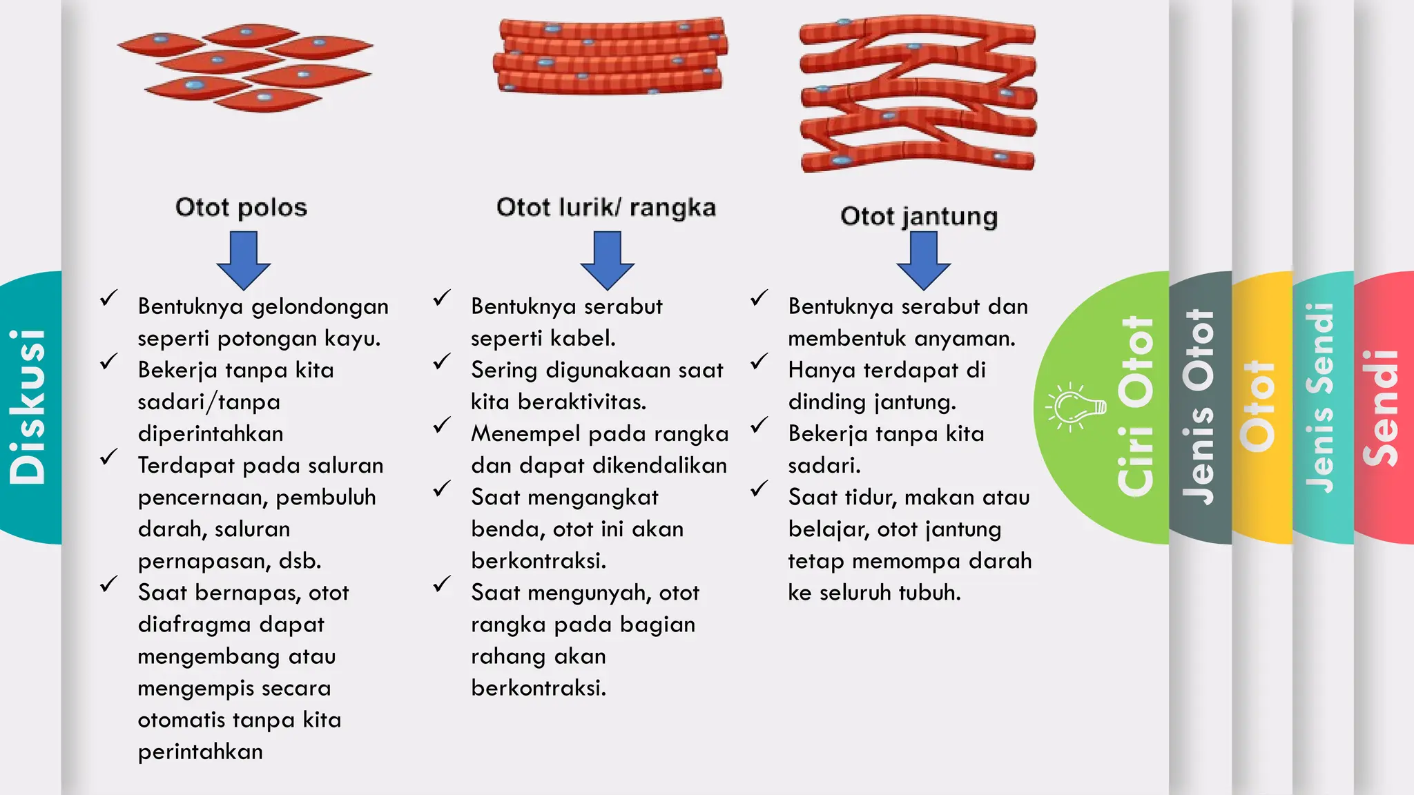 Powerpoint materi IPAS Sendi dan Otot untuk Kelas 6 | PPTX