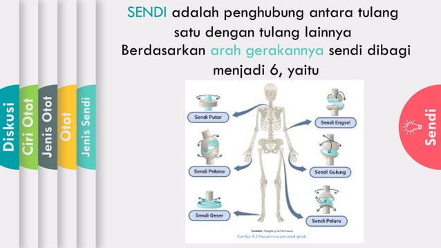 Powerpoint materi IPAS Sendi dan Otot untuk Kelas 6 | PPTX