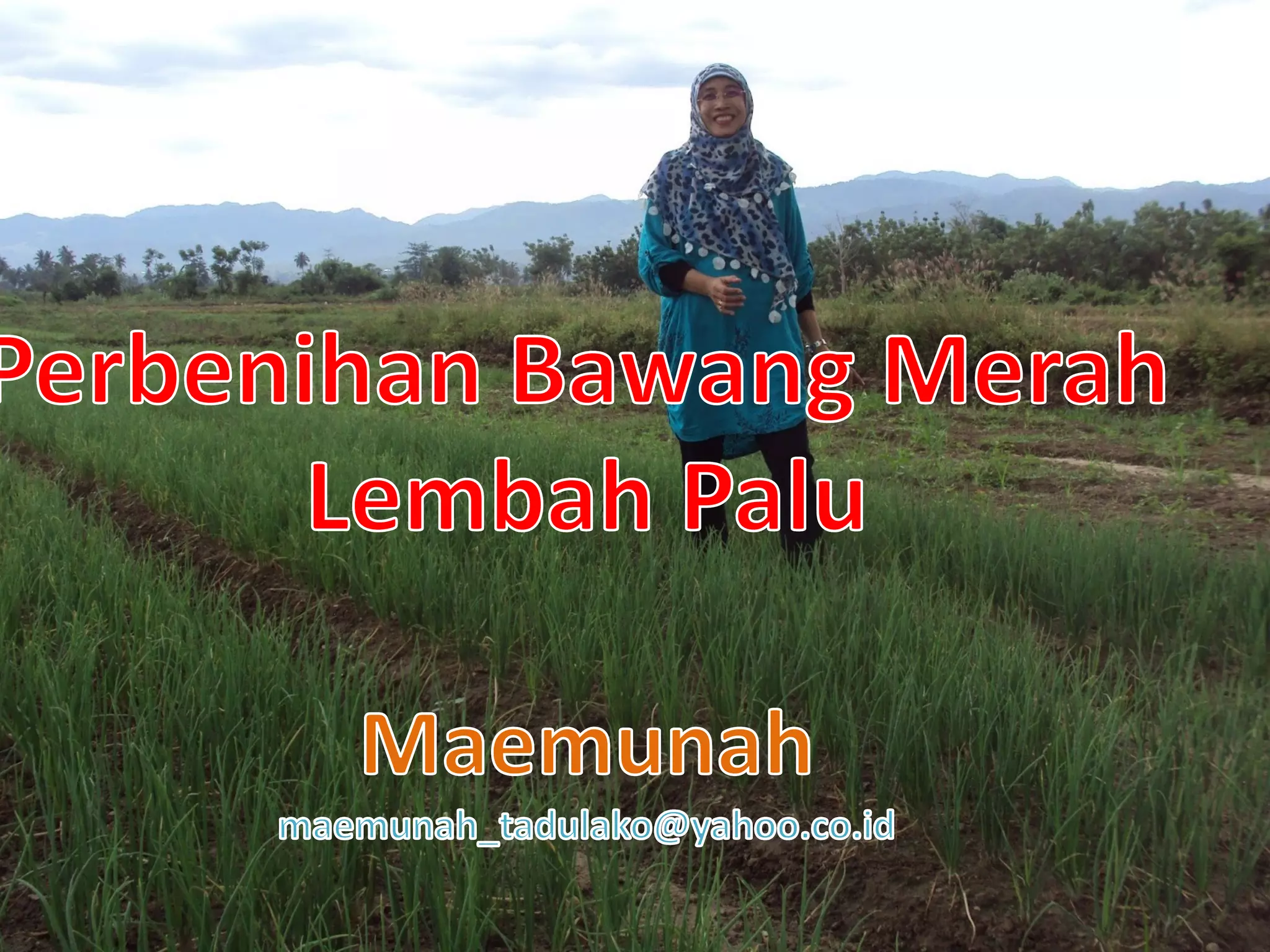 Serba serbi perbenihan bawang merah Lembah Palu (Allium wakegi araki) | PDF
