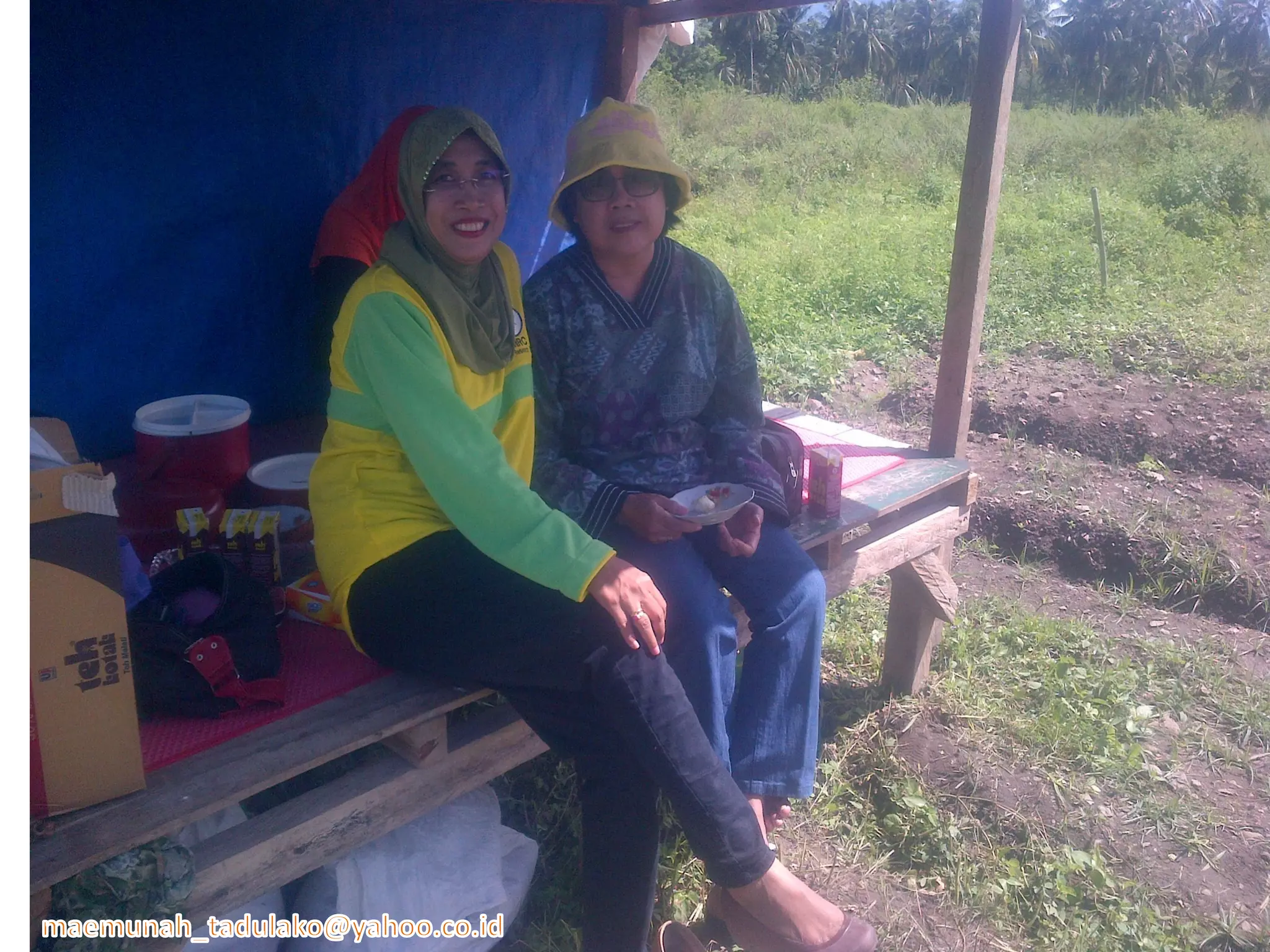 Serba serbi perbenihan bawang merah Lembah Palu (Allium wakegi araki) | PPT