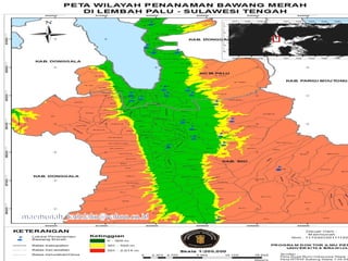 Serba serbi perbenihan bawang merah Lembah Palu (Allium wakegi araki) | PPT