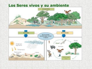 Ppt seres vivos y su ambiente. | PPT