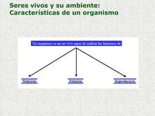 Ppt seres vivos y su ambiente. | PPT