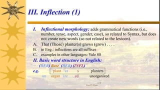 PPT Sesi 5 MORPHOLOgy prodi bahasa inggris | PPT