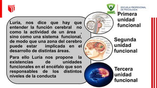 PPT Sesión 2 - Los Bloques de Luria 1° 2023.pptx