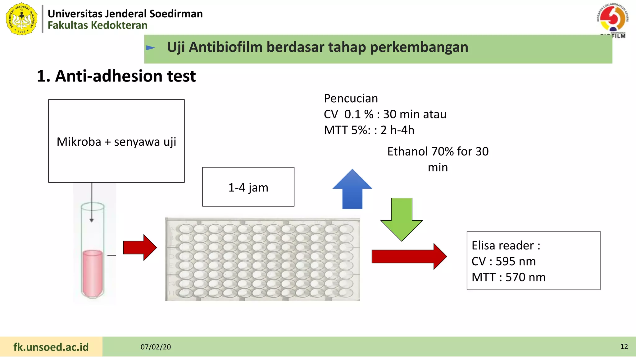 PPT Setiawati_webinar biofilm 2023.pptx.pdf