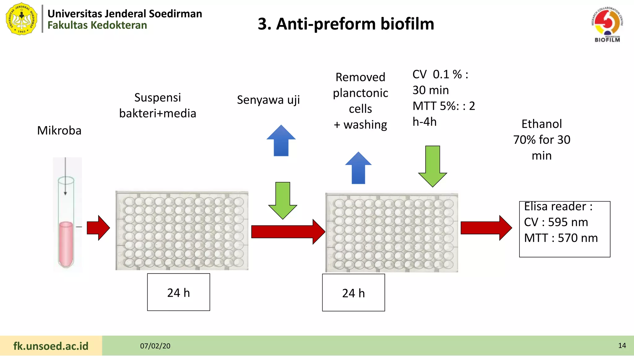 PPT Setiawati_webinar biofilm 2023.pptx.pdf