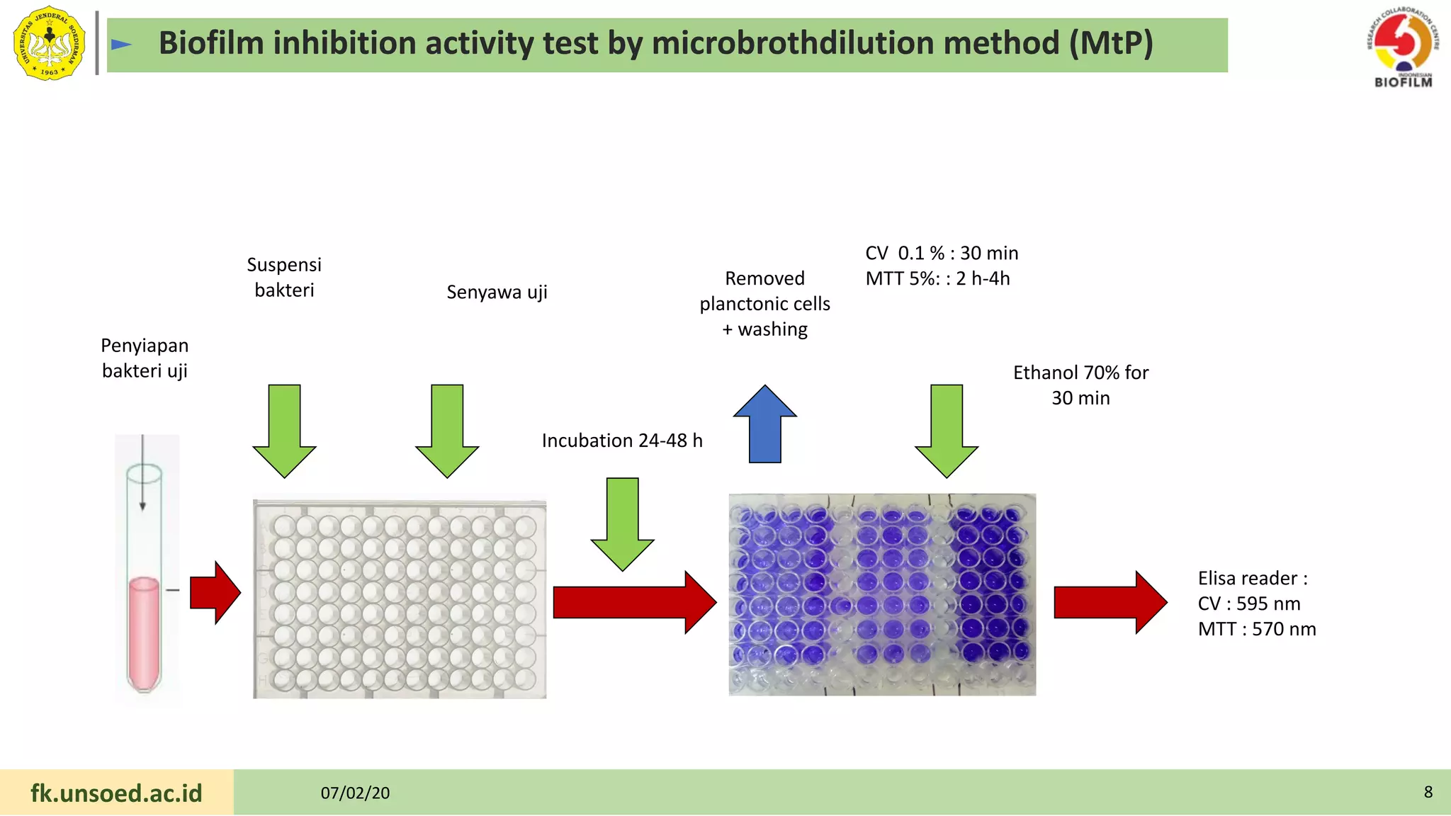 PPT Setiawati_webinar biofilm 2023.pptx.pdf