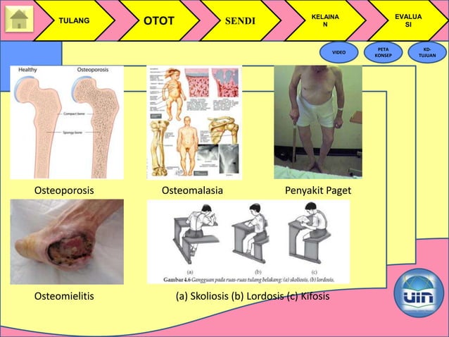 Ppt show sistem gerak | PPSX