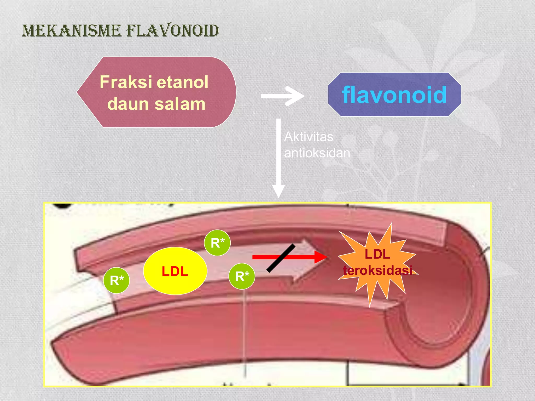 UJI AKTIVITAS EKSTRAK ETANOL 70% DAUN SALAM TERHADAP KADAR LDL DAN HDL ...