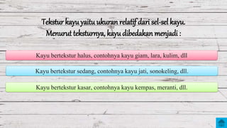 Ppt sifat fisik dan mekanik kayu beserta cacat cacatnya | PPT