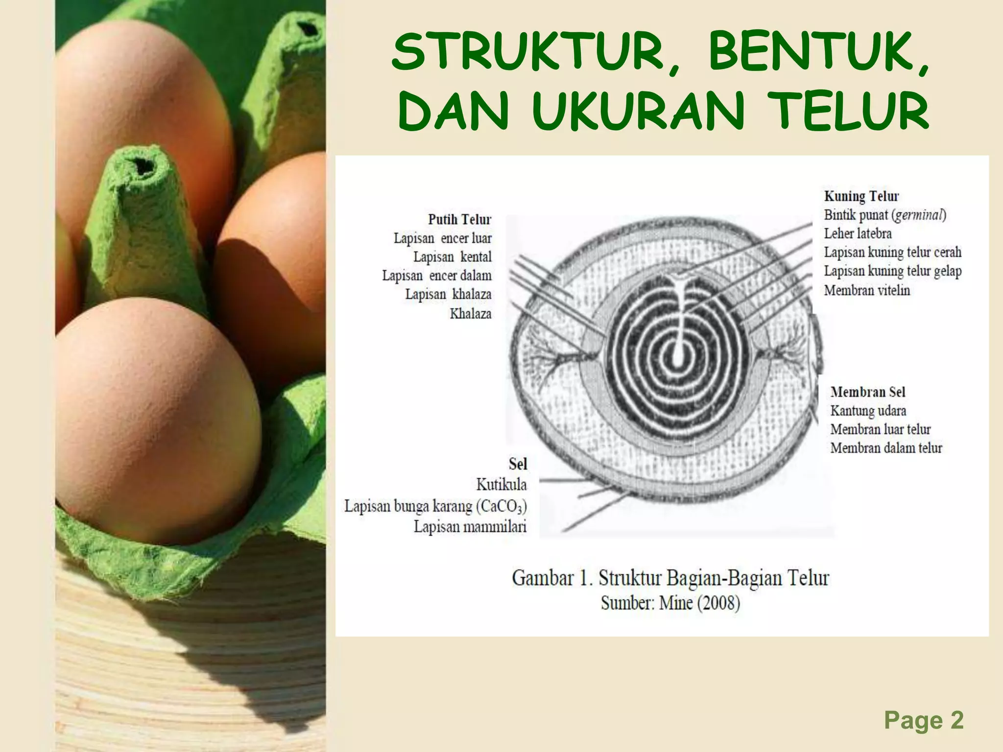 PPT Sifat Fisik kima dan mikrobiologi telur.ppt