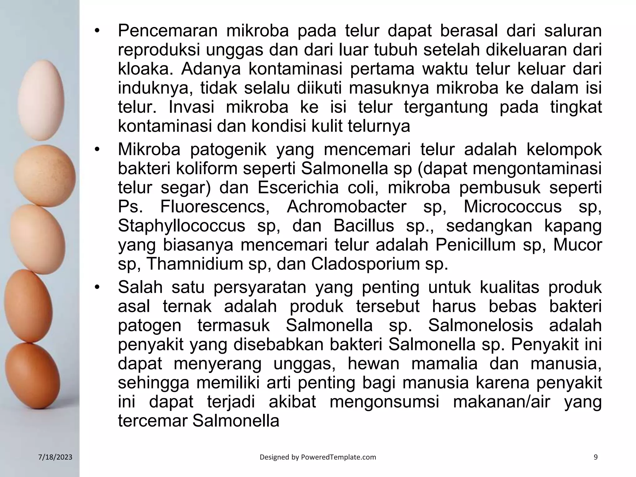 PPT Sifat Fisik kima dan mikrobiologi telur.ppt