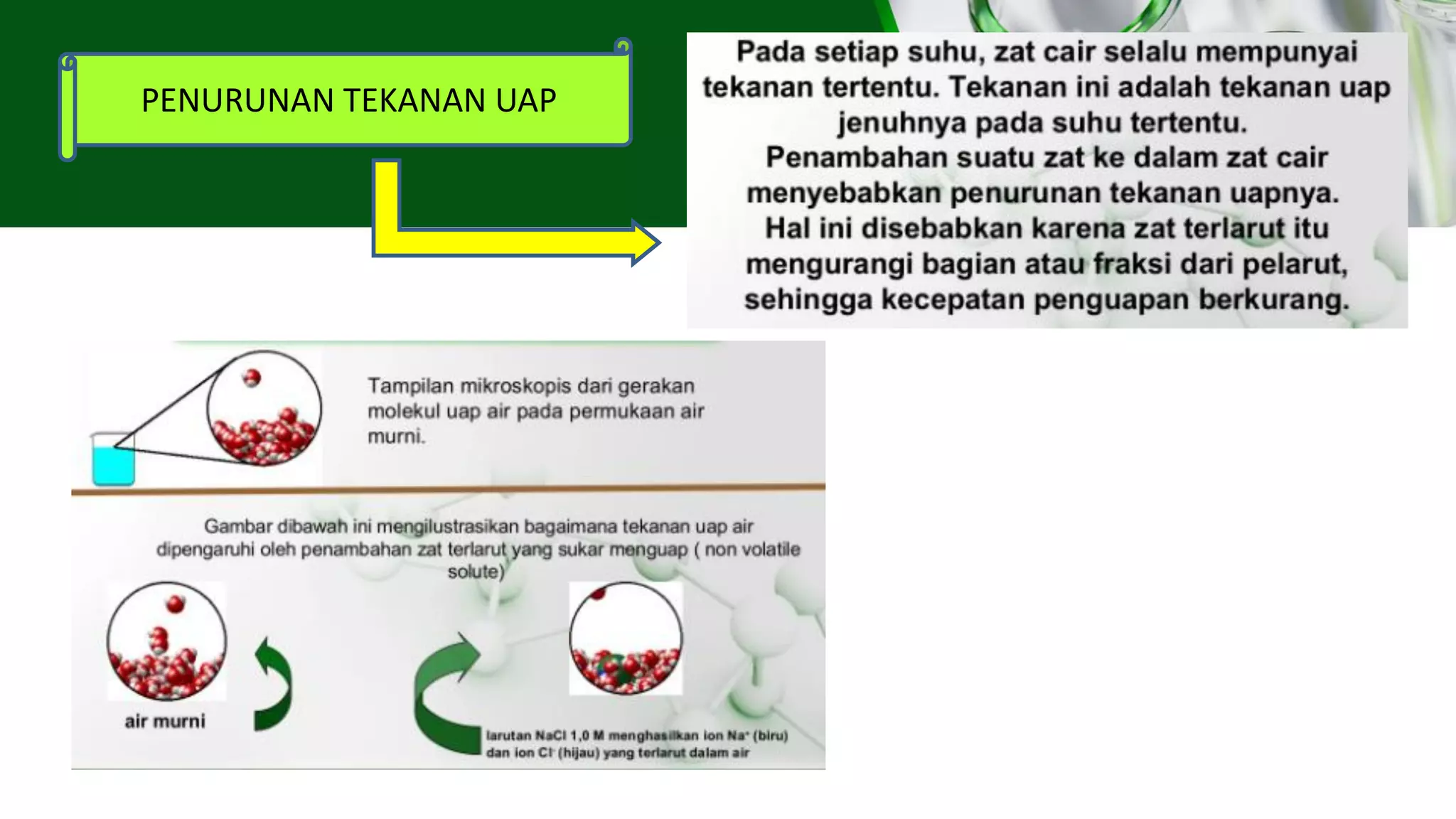 PPT SIFAT KOLIGATIF LARUTAN PERTEMUAN 12 PPG.pdf
