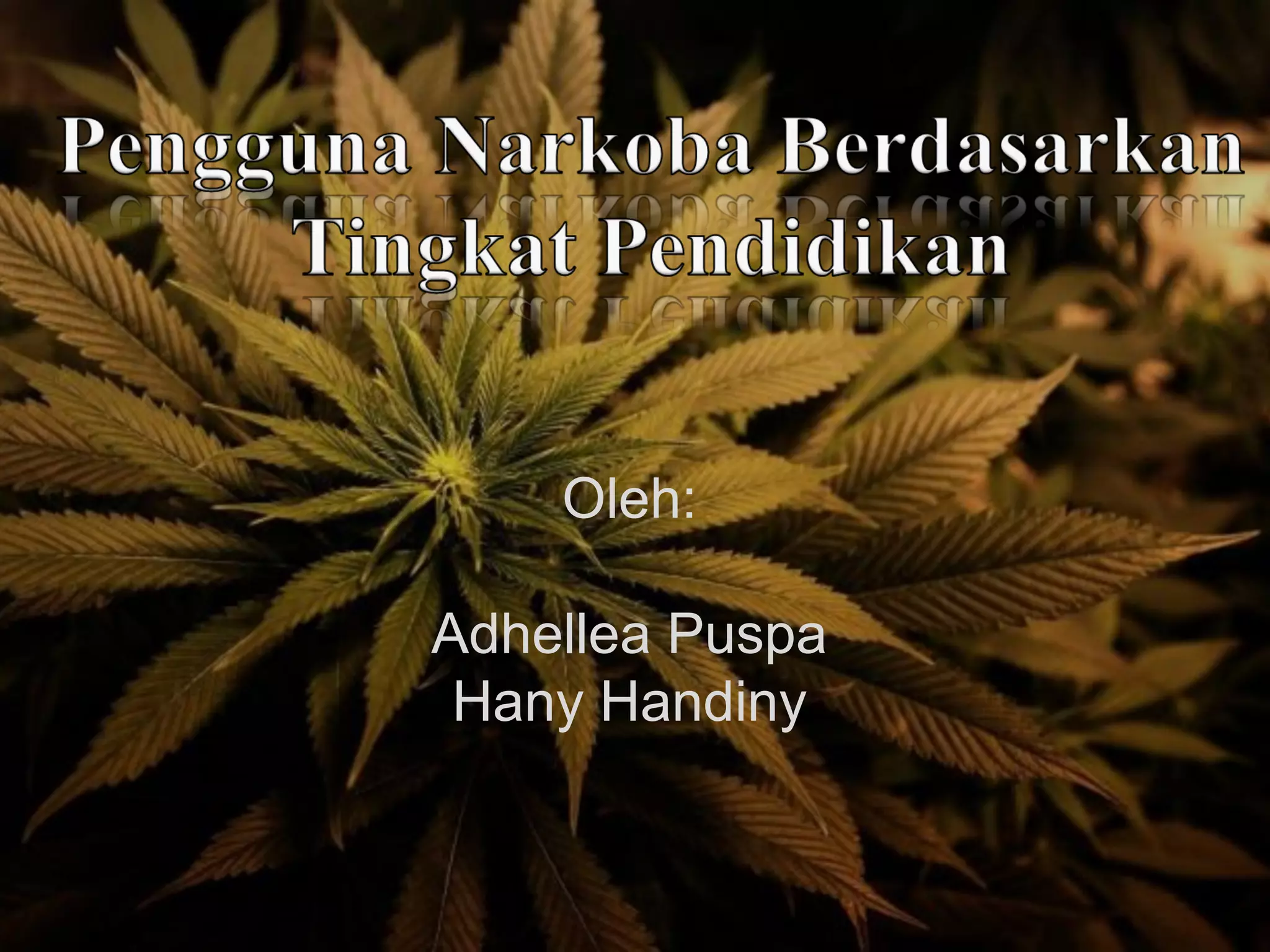 PPT GRAFIK NARKOBA by Adhellea dan Hany | PPT