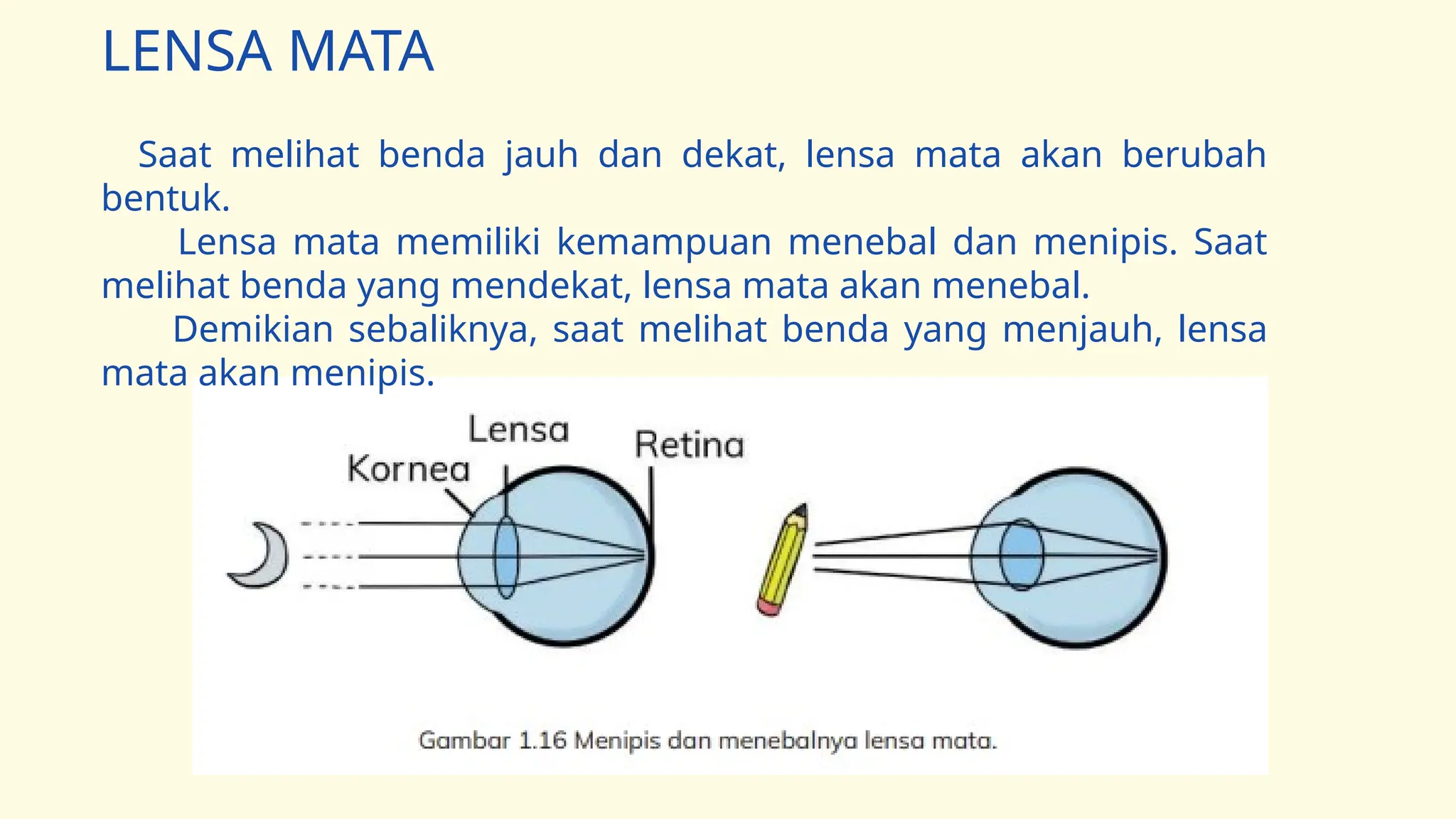 PPT SIKLUS 1.pptx KELAS 5 MATA SIKLUS 2 PPL | PPTX