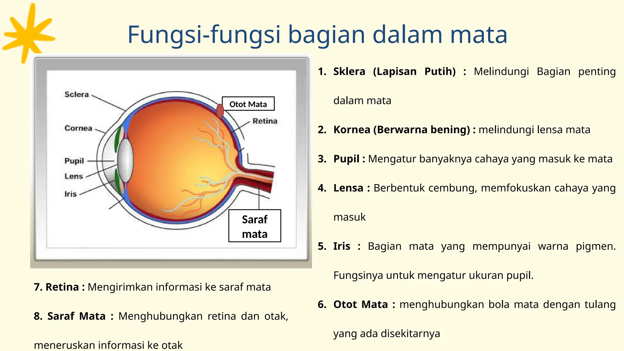 PPT SIKLUS 1.pptx KELAS 5 MATA SIKLUS 2 PPL | PPTX