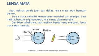 PPT SIKLUS 1.pptx KELAS 5 MATA SIKLUS 2 PPL | PPTX
