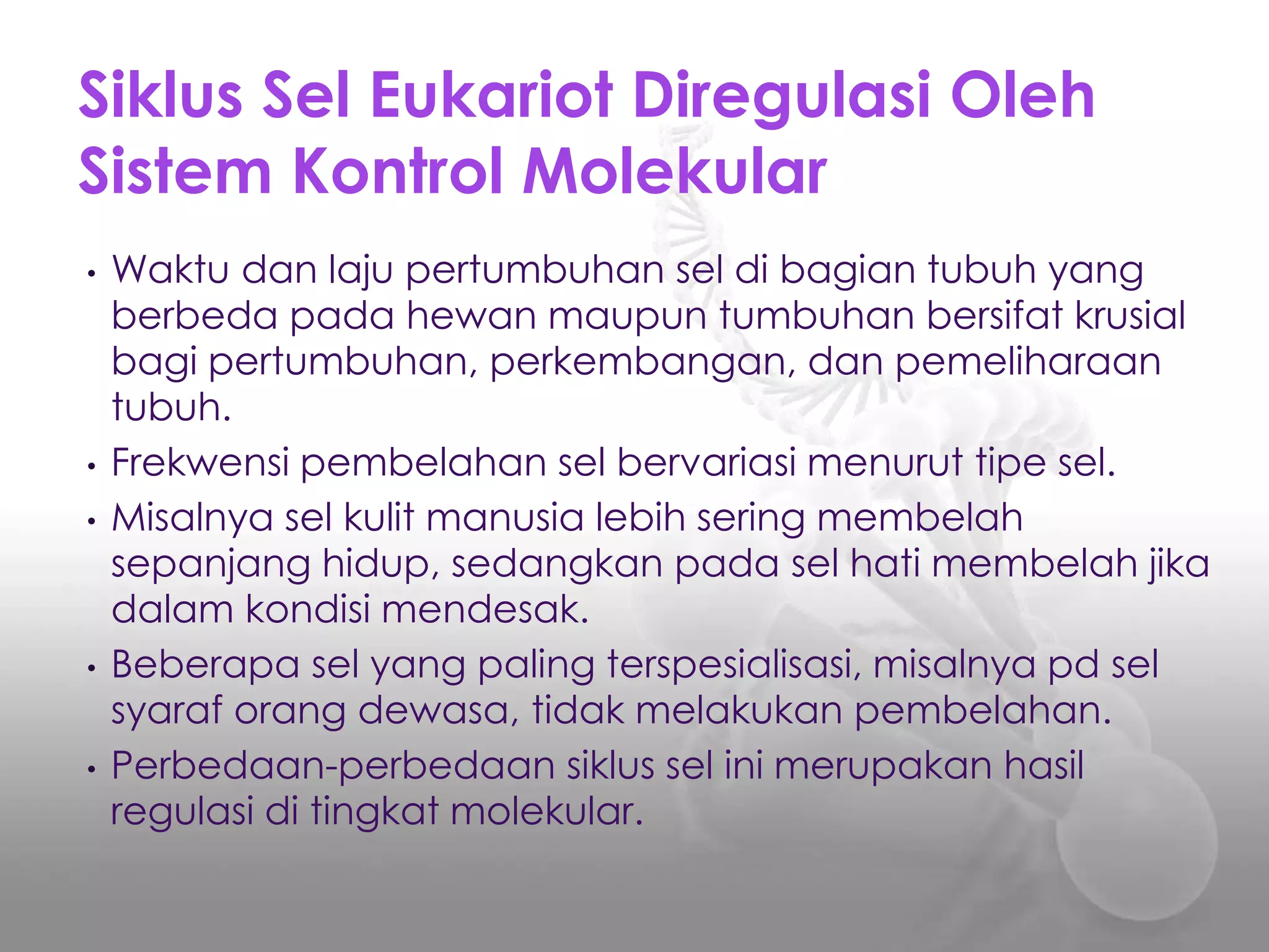siklus sel (cell cycle) | PPTX
