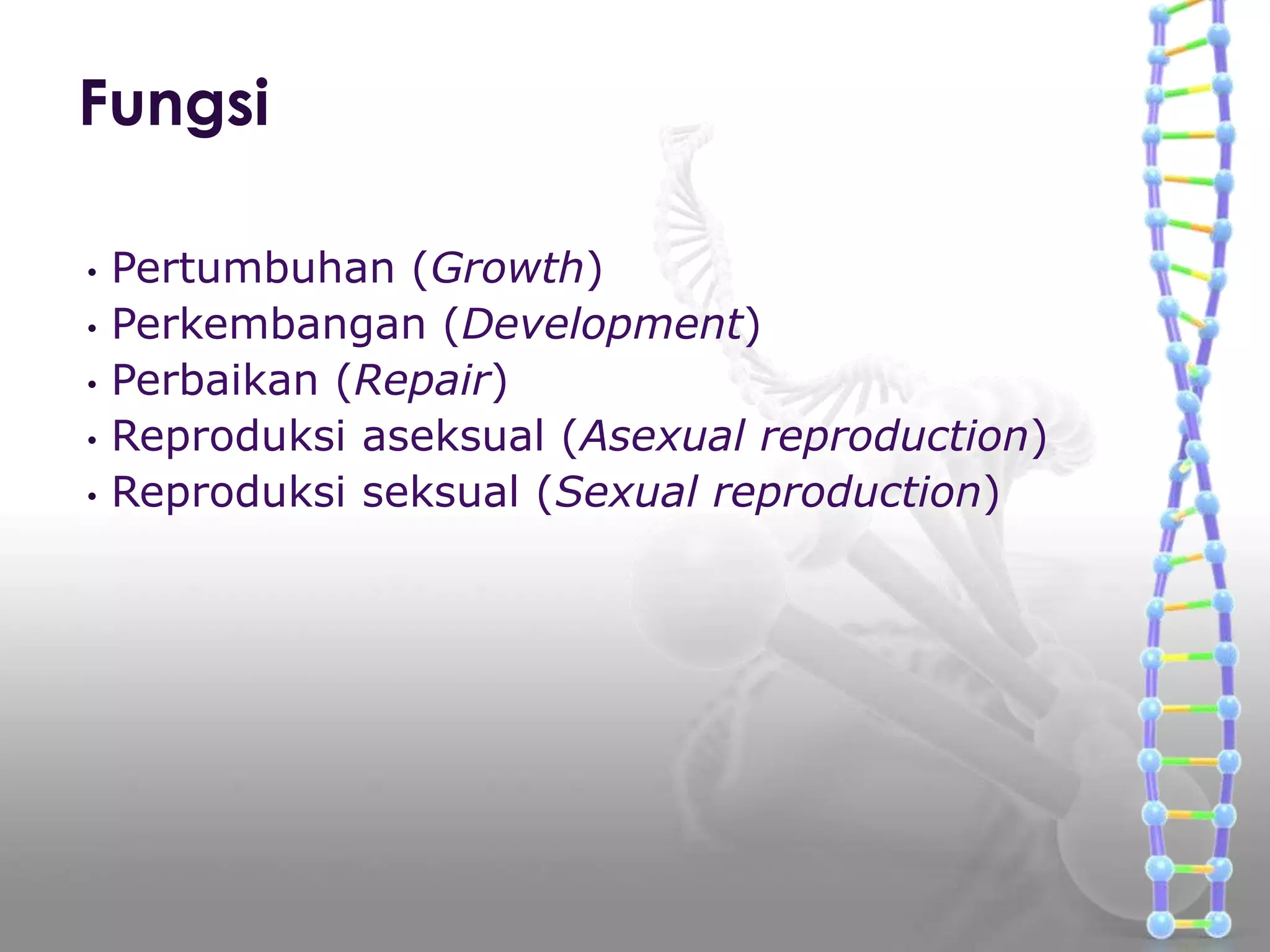 siklus sel (cell cycle) | PPTX