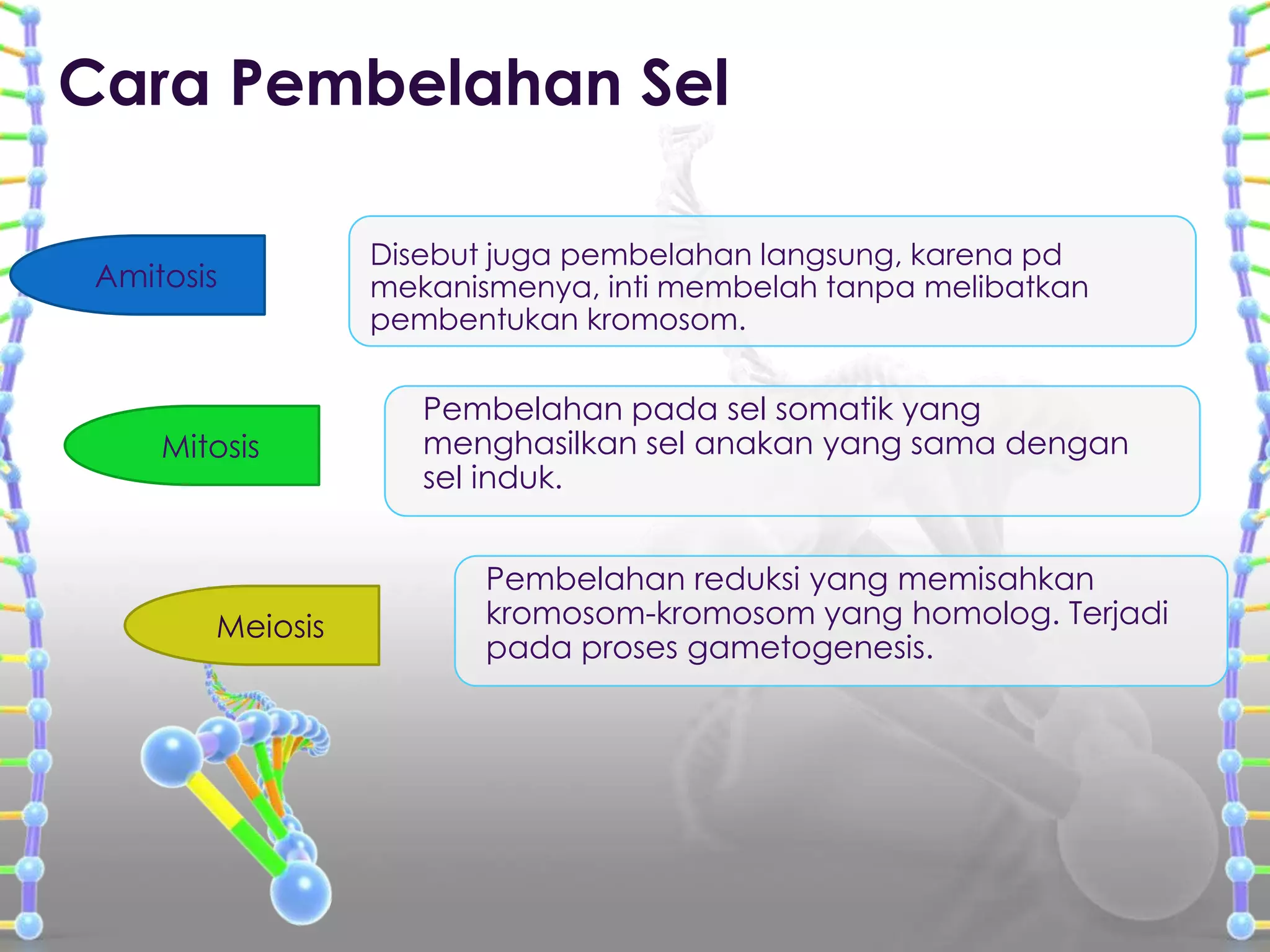 siklus sel (cell cycle) | PPTX