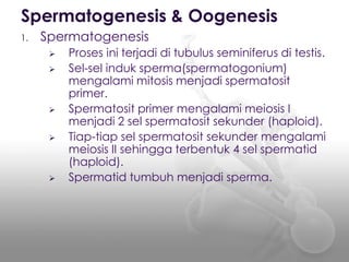 siklus sel (cell cycle) | PPTX
