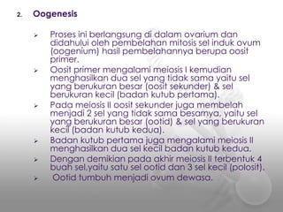 siklus sel (cell cycle) | PPTX