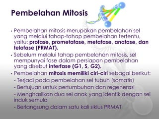 siklus sel (cell cycle) | PPTX